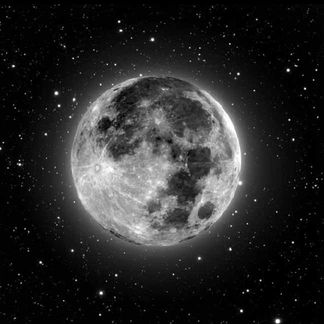 Bunnyww Bunny Github