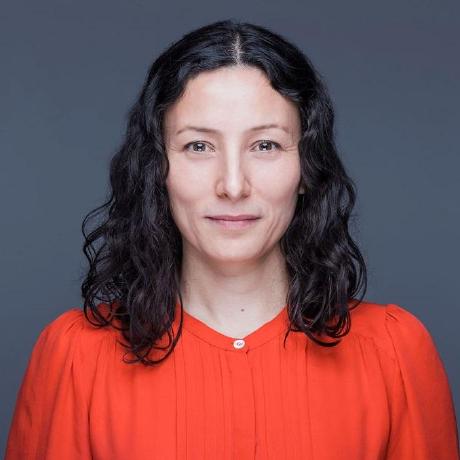 Miraschneider Mira Github