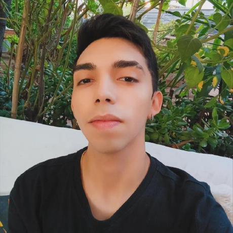 Joaquin Lr Joaquín López Rojas Github