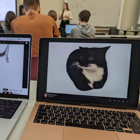 Zerumi Itmo Related Github