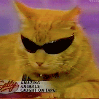 Italyyg Italyyg Github