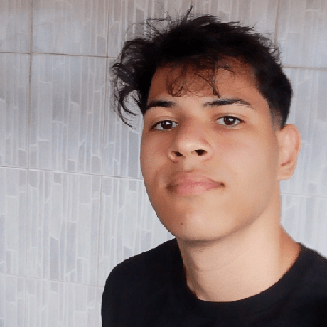 Arielsnts Ariel Santos Github