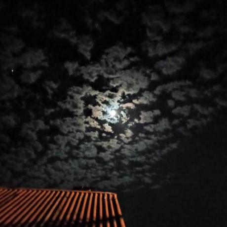 Uninterrupted Life Github