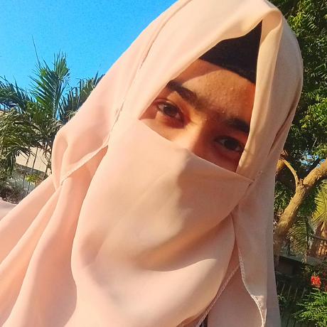 Shiza Sheikh Github