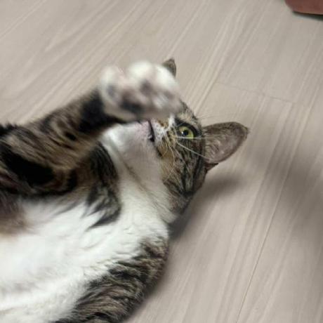 Ids Ruccess 양성주 Github