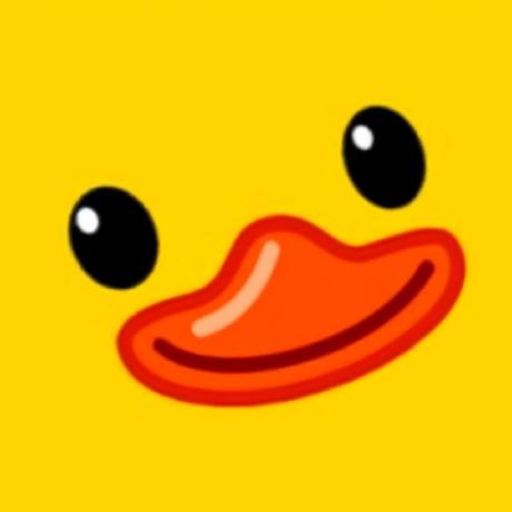 Duck Coin Projects Github