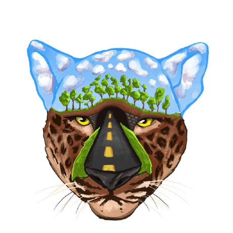 Connectinglandscapes Connecting Landscapes Project Github