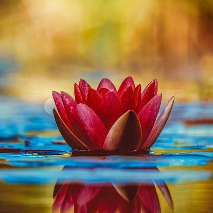 Kayesu Deborah Kayesu Deborah Github