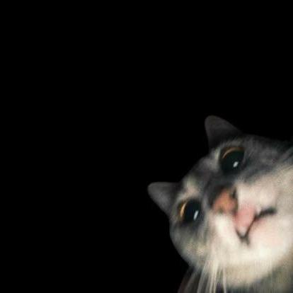 Purohitdev Dev Github