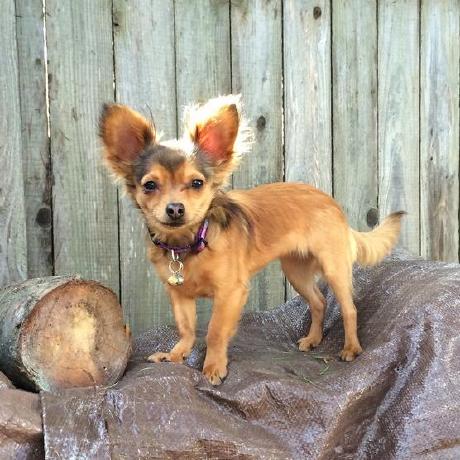 Jeff Bryson Jeff Bryson Github