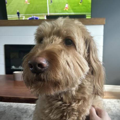 Kwakdev Evan Kwak Github