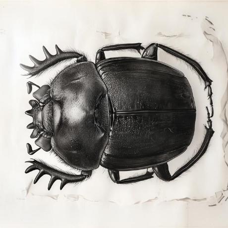 Steve0x00 Steve Github