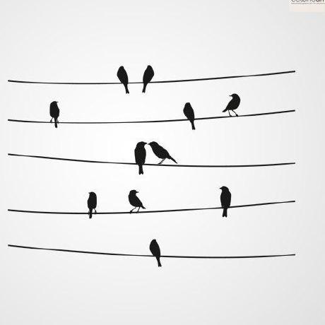 Justmoritz Moritz Github