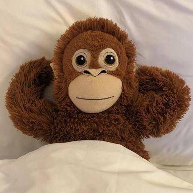 S Chan O 김승찬 Github