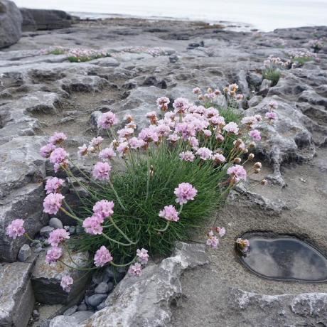 Ddsharon1 Sharon Github