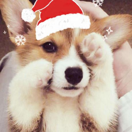 Lincolncz Lincoln Github