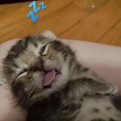 Ximena Diaz Xime Github