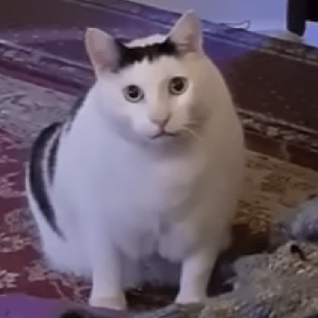 Doriancodesforms Dorian Clay Github