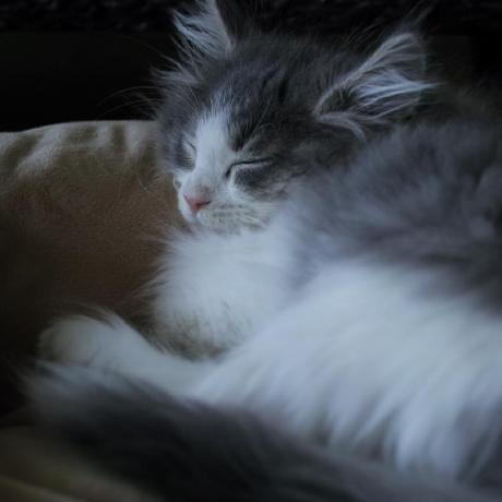 Takaya Ishizaki Takaya Ishizaki Github