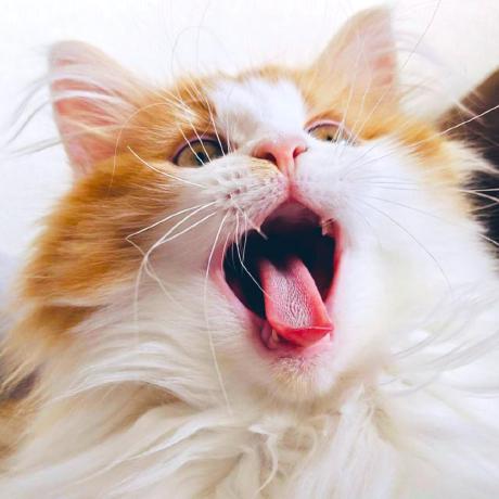 Kitagawa Kkhs Github