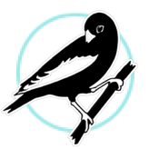 Songbirdmusic Github