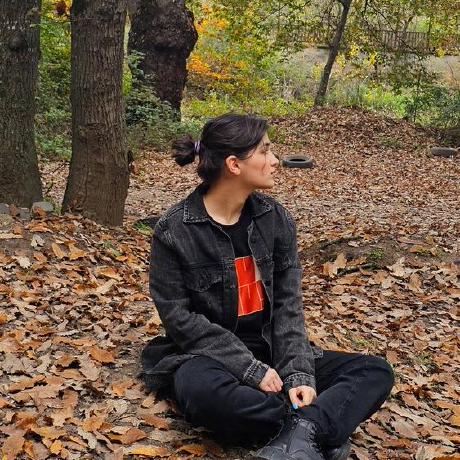 Elham Qolizade Elham Github