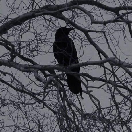 Milkywaybye Milkyway Github