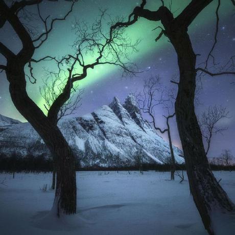 Hillychips Jacob Cao Github