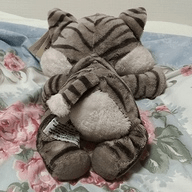 Yumi Mizutaka Yayoi Yumi Mizutaka Github