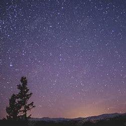 Pety4321 Peter Github