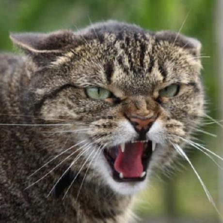 Github Agafonoff2000 Simplemap Complete Sample Show How To Work With - Mobile Mountain Arts for Desktop