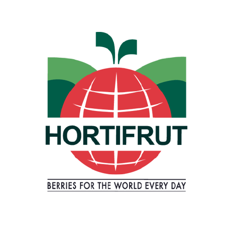 Herbaguideteam Github - Best Minimal Illustrations in HD