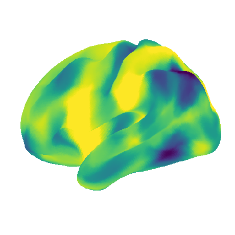 Systems Neuroscience Newcastle Github