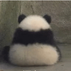 Rookie007 Qaq Github