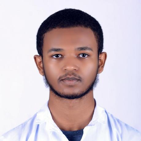 Y A Dawit Yohannes Github