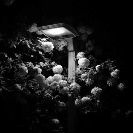 Archer0rf Archer Github