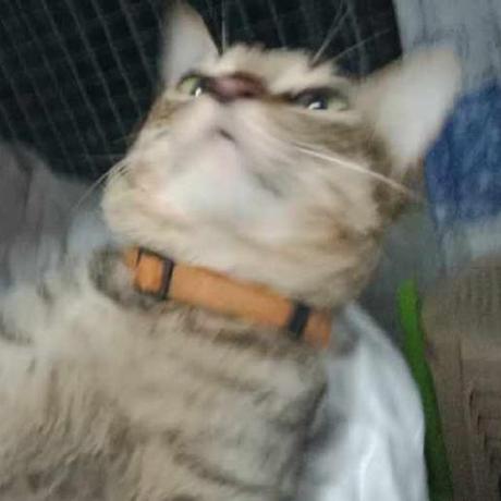 Ulayaw Rex Jhon Rex Tabanas Github