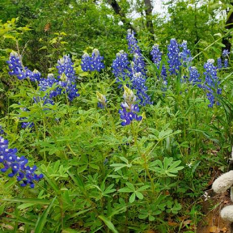 Ypark0917 Yeonjoo Park Github