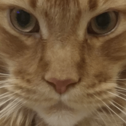 Nikolaylobkov Nikolay Lobkov Github