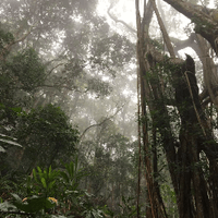 Bart Zzb Bartzhao Github