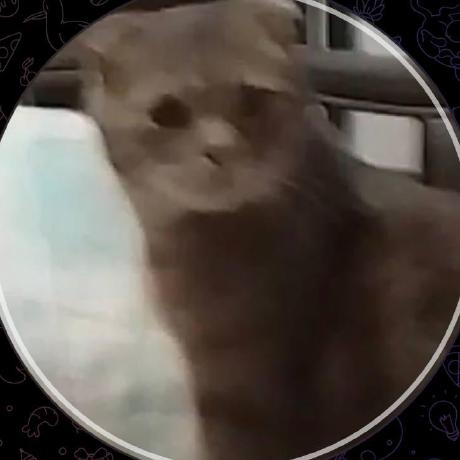 Dorris4ik Pavel Github