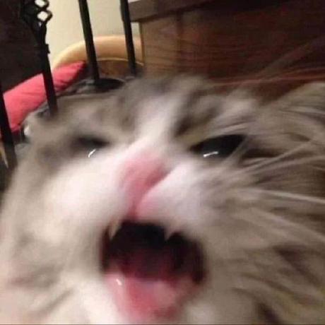 Fw Projects Github - Download Premium Landscape Pattern | Retina