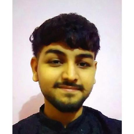 Veer25x Veer Pratap Singh Github