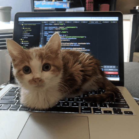 Kellerzz Repositories Github