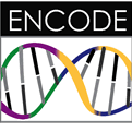 Encode Dcc Github