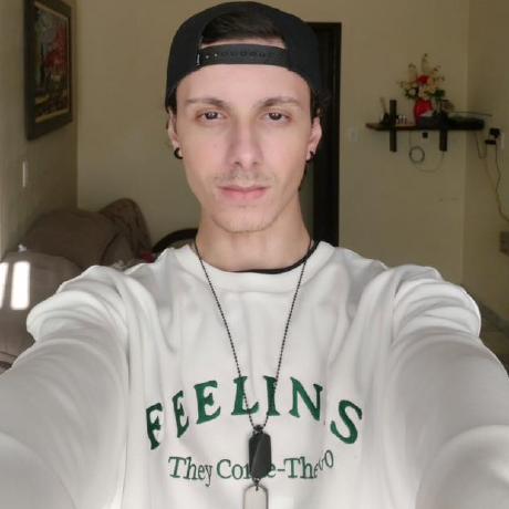 Valentinvitor Vivalen Github