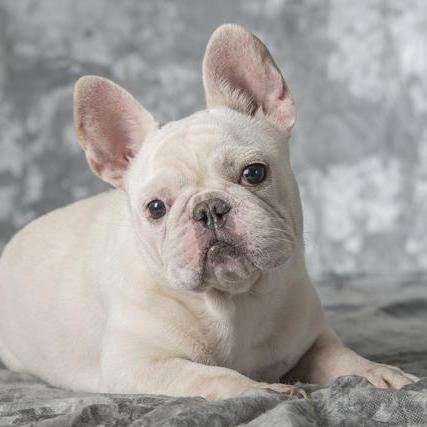 Github Addresschina Addresschina Github Io - Colorful Pictures - Classic Ultra HD Collection