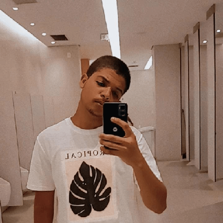 Wolfdeveloper01 Wolf Developer Github