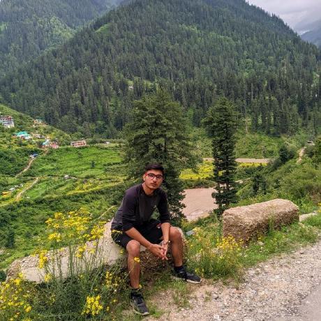 Setup Ninja Actions Github Marketplace Github