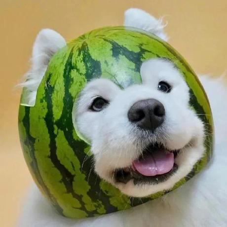 Github Diandiantree The Third Tree - HD City Arts for Desktop